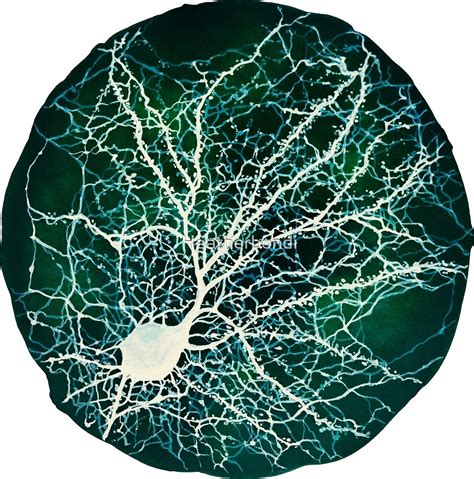 Dendritic Tree And Spines Of An Hippocampal Neuron Nebula By Heatherbondi Redbubble