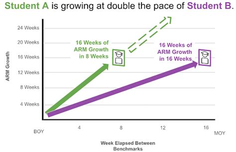 Growth Visualization In The Admin Dashboard