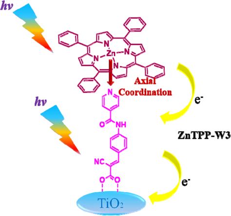 The Detailed Assembly Approach Of These Assemblies On Tio2 Electrode