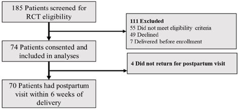 Study Population RCT Randomized Controlled Trial Download Scientific Diagram