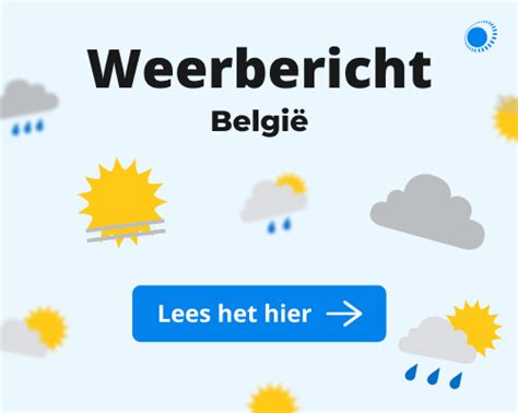 Dit Is Hoe Je Bladluis Bestrijdt Bladluizen