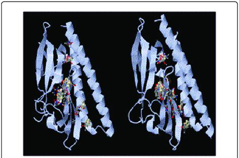 Ftmap Of Docked Complexes Showing 12 And 10 Clusters Of Small Molecule