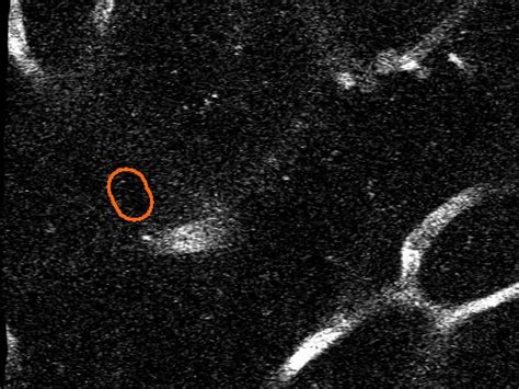 Python How To Fill A Contour Plot Mask And Retain Data Inside The