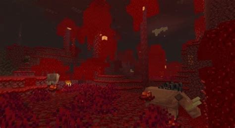 Spectrum Shaders 1202 → 119 Minecraft Shader