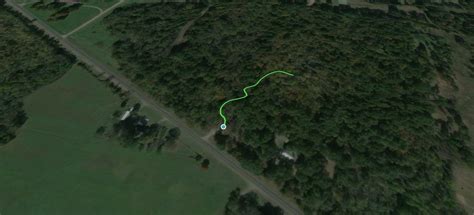 Belle Starrs Gravesite Trail Oklahoma 7 Reviews Map Alltrails