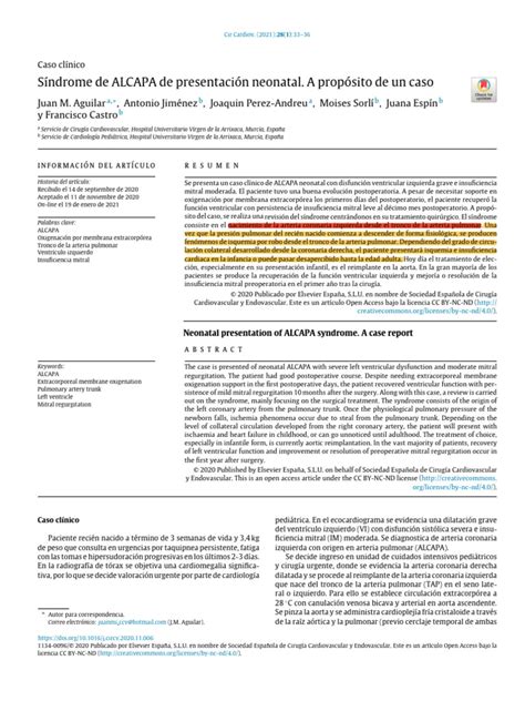 Síndrome De Alcapa Pdf