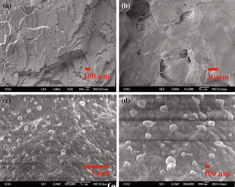 The Sem Micrographs For The Fractural Surfaces Of A Neat Pla B Neat