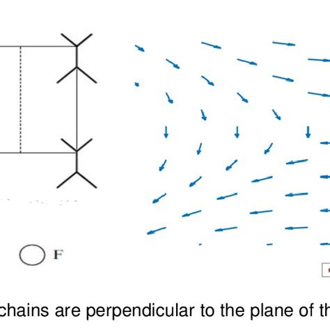 The Structure Of The PVDF Macromolecule 17 Download Scientific Diagram