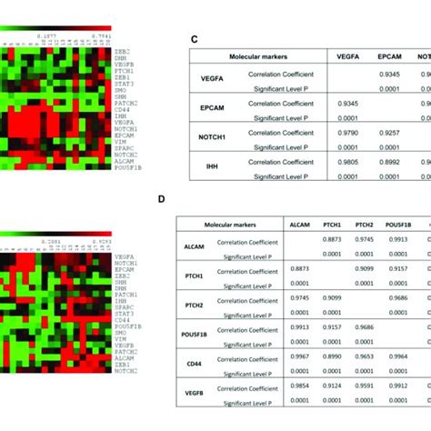 Gene Expression Profiles Of Ctcs From Pdac Patients Ab