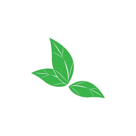 Premium Vector Leafs Logo Icon Vector Illustration Template Design