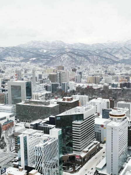 삿포로 11월 12월 날씨 홋카이도 Jr 패스 버스투어 자유여행 준비 네이버 블로그