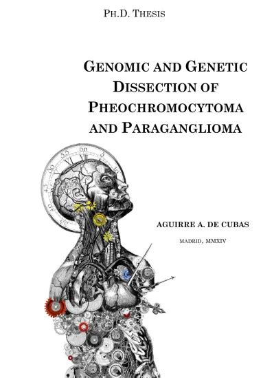 Rna Concentration And Quality Rna Extraction