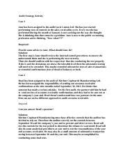 Audit Strategy Activity Solution Doc Audit Strategy Activity Case Jane Has Been Assigned