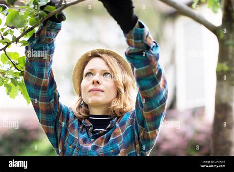 Mid Adult Woman Pruning Tree In Her Garden Shallow Focus Stock Photo Alamy