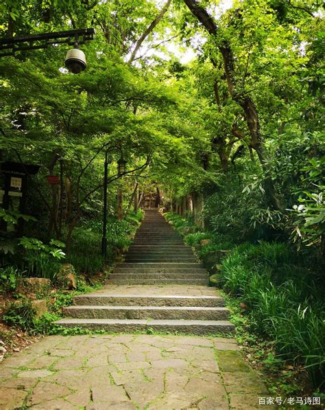 游西湖葛岭山，观抱朴道院百科ta说