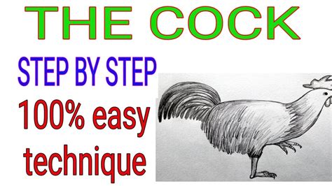 How To Draw The Cockhow To Draw The Cock In Pencilpencil Sketch Step