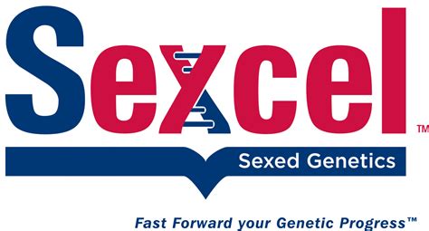 Sexcel ABS Babe Tour