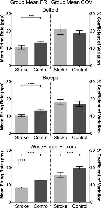High Density Surface Emg Decomposition Allows For Recording Of Motor Unit Discharge From