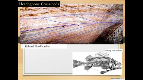 Herringbone Cross Stratification