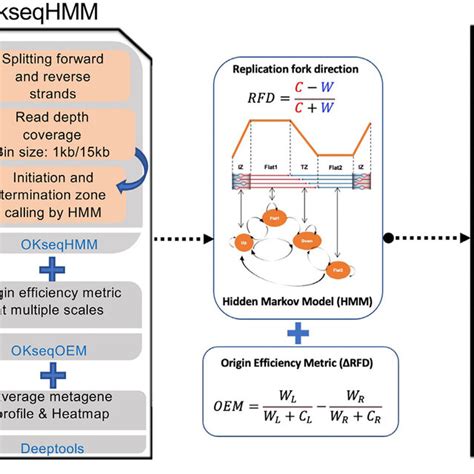 Schematic Presentation Of The Data Analysis Pipeline In The Okseqhmm