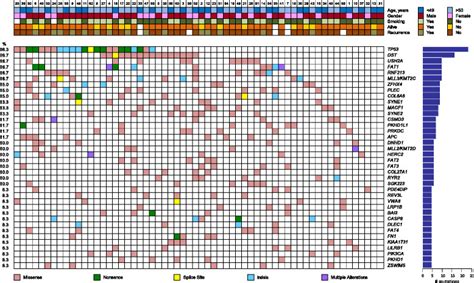 Mutation Plot Summary Of 60 Oral Tongue Squamous Cell Carcinoma Download Scientific Diagram
