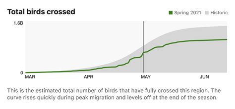 Bird Migration Dashboard Talking Time