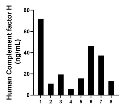 Complement Factor H Cfh Antibody 85132 3 Pbs Proteintech