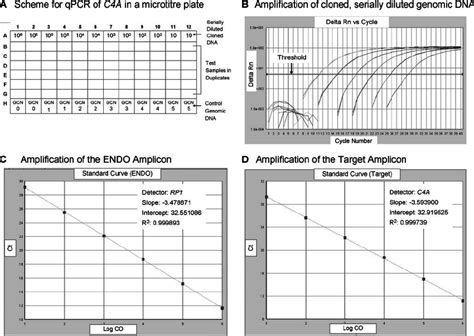 Real Time Pcr Using The Relative Standard Curve Method To Quantify And Download Scientific