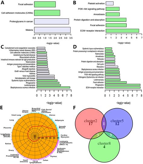 Enrichment Of Co Expression Modules The Four Bar Charts Display The