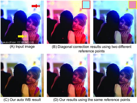 A A Camera Rendered Image With The Wrong Wb Applied The User Selects Download Scientific