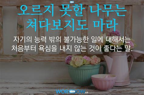 속담 오르지 못할 나무는 쳐다보지도 마라
