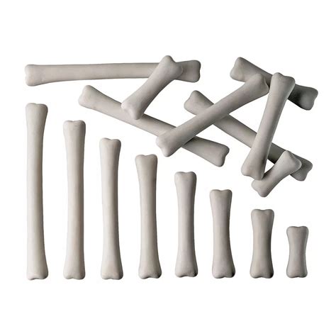 Yellow Door Dinosaur Bones Match And Measure Set