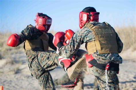 Marine Corps Martial Arts Program Mcmap Usmc Officer