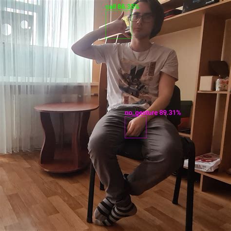 Yolox Openvino Inference Demo Files Kaggle