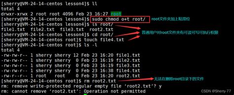 linux文件、目录的权限 linux 目录授权 csdn博客