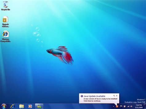 Запуск Java Приложений В Windows Accountspecification