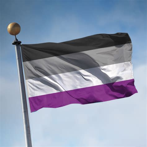 Asexual Ace Pride Flag Grand Rapids Pride Center