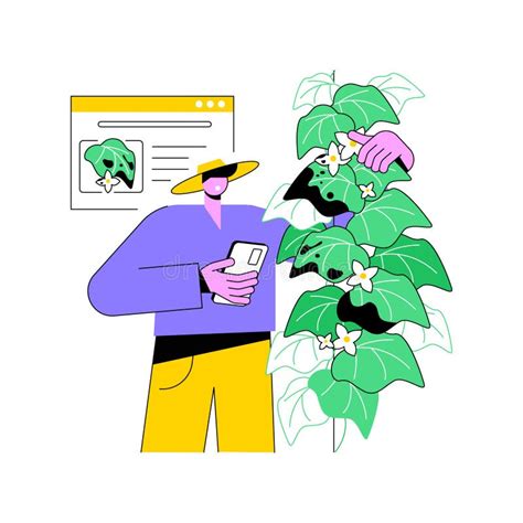 crop diseases detection isolated cartoon vector illustrations 向量例证