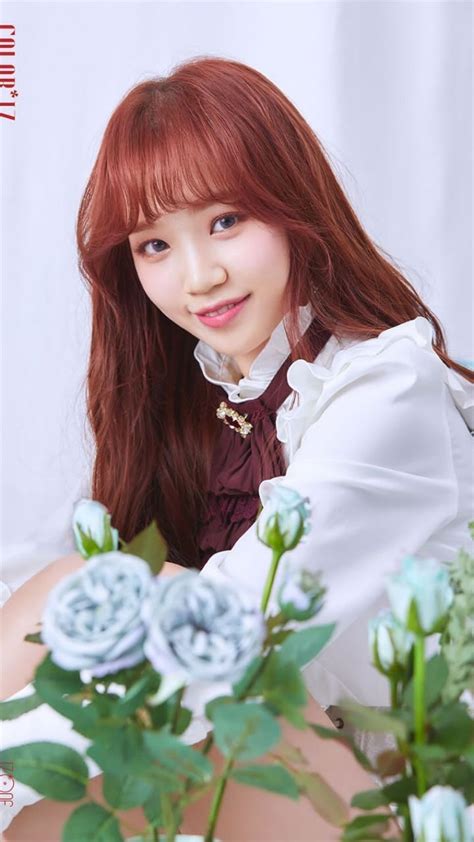 Lirik Lagu Izone Lengkap Color Iz Iz One Chaewon Iz One