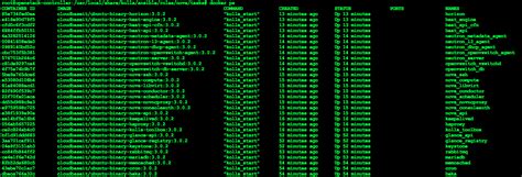 Deploying Openstack Using Docker Container With Kolla And Hyper V • Serverhealers