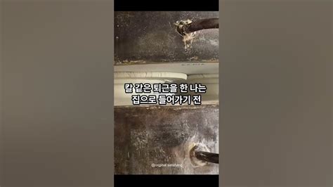 와이프가 친정에 갔는데 Youtube