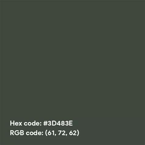 Natural Henna Color Hex Code Is 3d483e