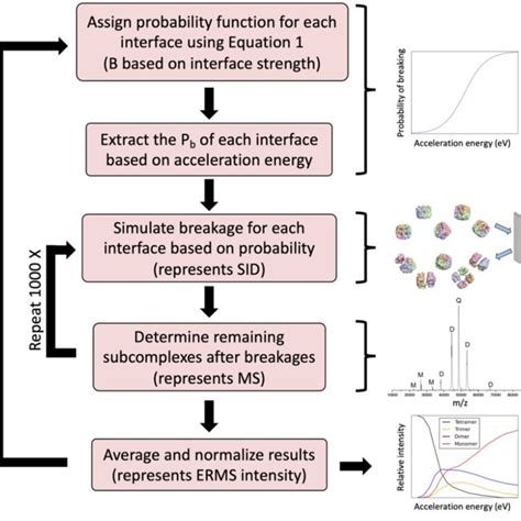 Flowchart Describing The Erms Plot Simulation Process Download Scientific Diagram