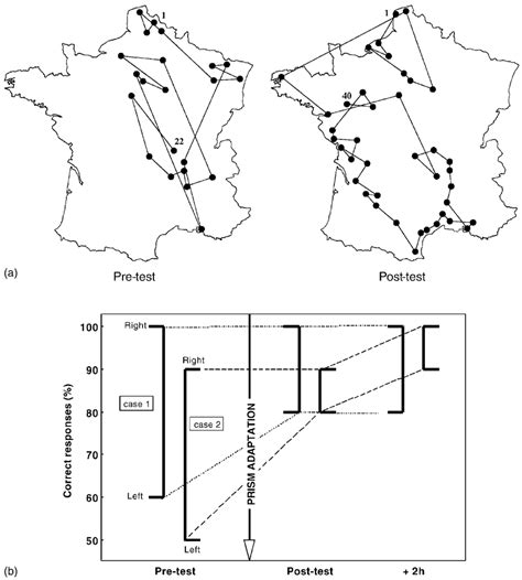 Effect Of Prism Adaptation On Hemispatial Neglect Assessed By Download Scientific Diagram