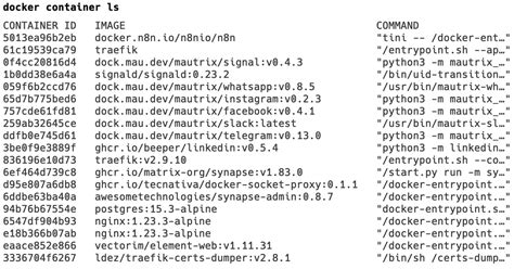 run on server with matrix installed traefik and port challanges