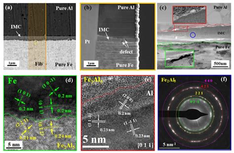 Tem Analysis Of Imcs After Heat Treatment At 380 • C 60 Min A Sem Download Scientific