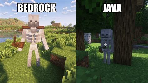 Bedrock Skeleton Vs Java Skeleton Youtube