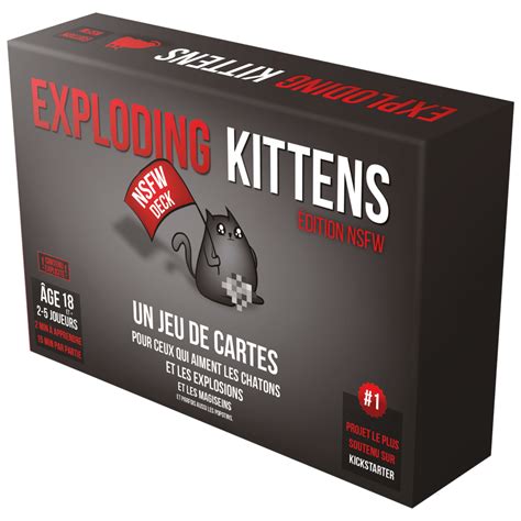 Exploding Kittens Édition Nsfw
