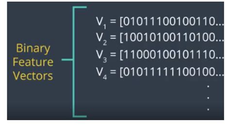 2d features framework nextra