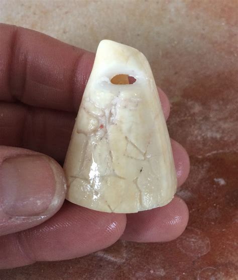 Hands On Archaeology How To Make A Shell Tinkler